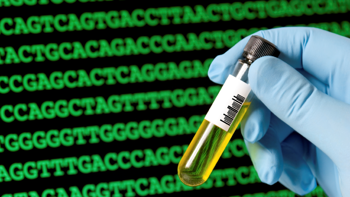 Genetic Makeup Test Saubhaya Makeup Genetic Makeup Test Saubhaya Makeup