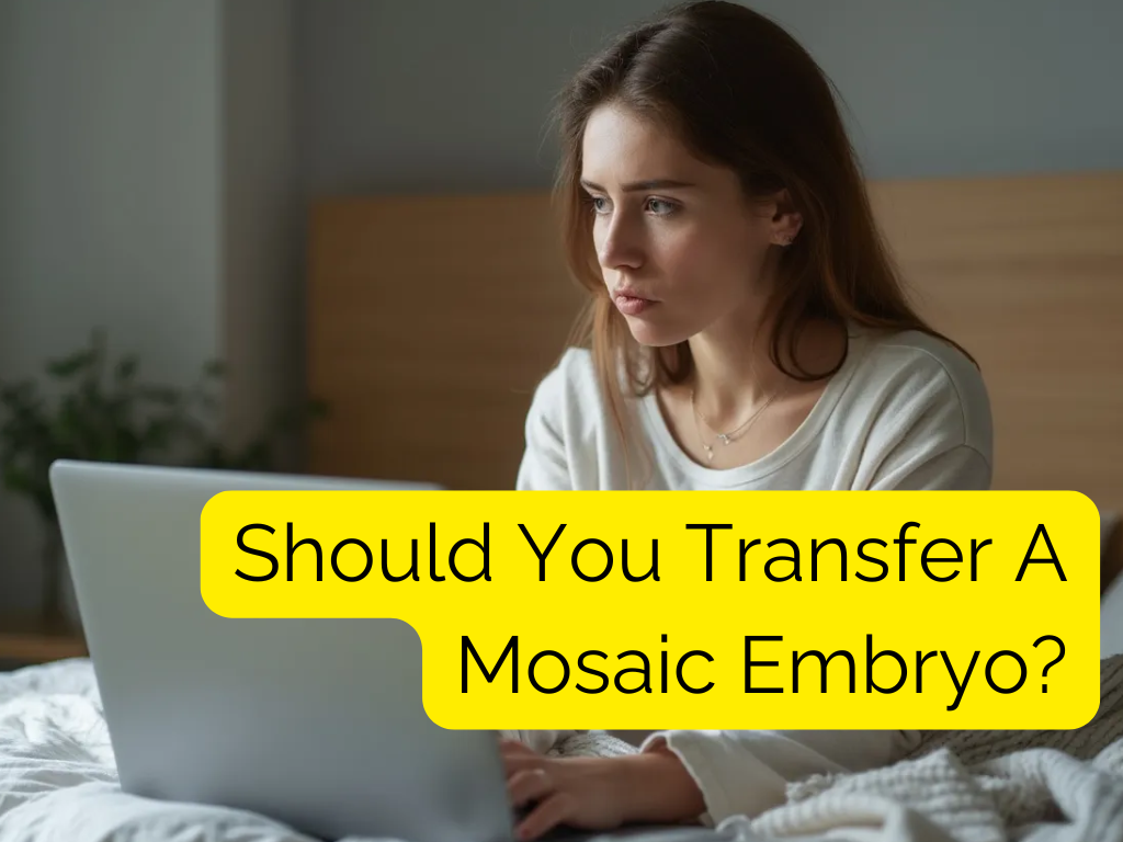 Should You Transfer a Mosaic Embryo? What You Need to Know Before Deciding - the Lucky Egg